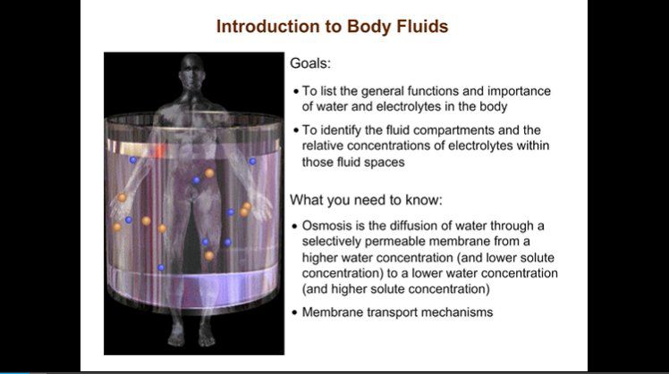 Introduction to Body Fluids | Pearson+ Channels