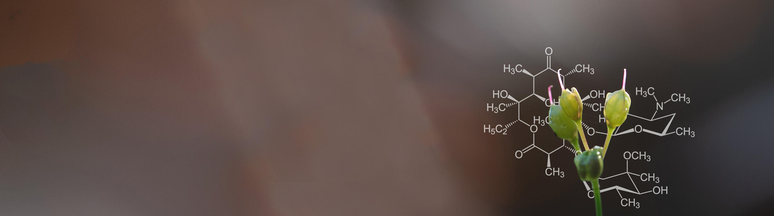 Properties of Water Video Tutorial & Practice | Pearson+ Channels