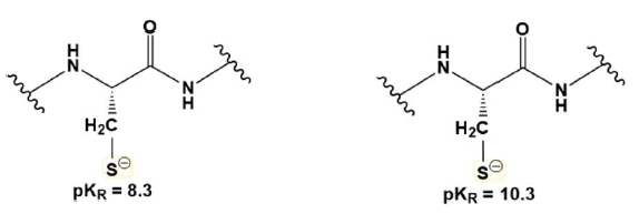 Covalent Catalysis Video Tutorial & Practice | Pearson+ Channels