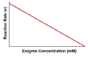 Enzyme Kinetics Video Tutorial & Practice | Pearson+ Channels
