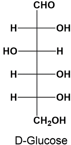 D 2 Deoxyglucose Fischer Projection