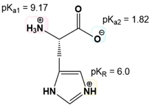 Isoelectric Point of Amino Acids with Ionizable R-Groups Video Tutorial ...