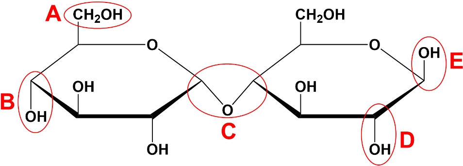 Reducing Sugars Video Tutorial & Practice | Pearson+ Channels