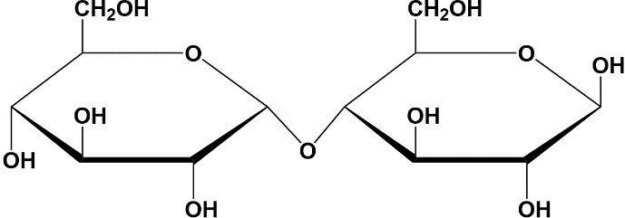 Disaccharides Video Tutorial & Practice | Pearson+ Channels