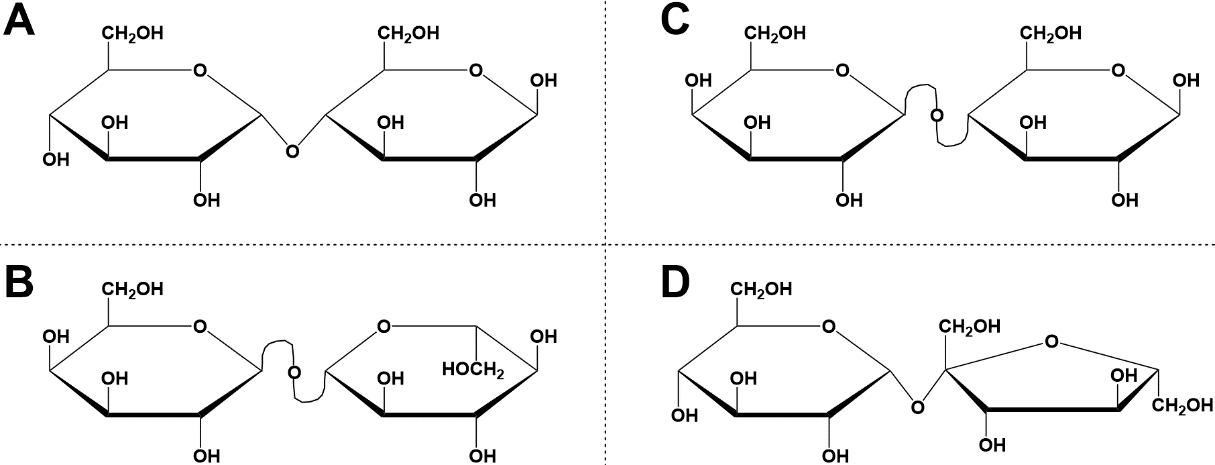 Reducing Sugars Video Tutorial & Practice | Pearson+ Channels