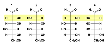 Stereochemistry of Monosaccharides Video Tutorial & Practice | Pearson+ ...