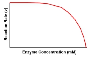 Enzyme Kinetics Video Tutorial & Practice | Pearson+ Channels