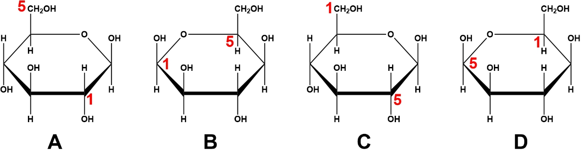 Cyclic Monosaccharides Video Tutorial & Practice | Pearson+ Channels