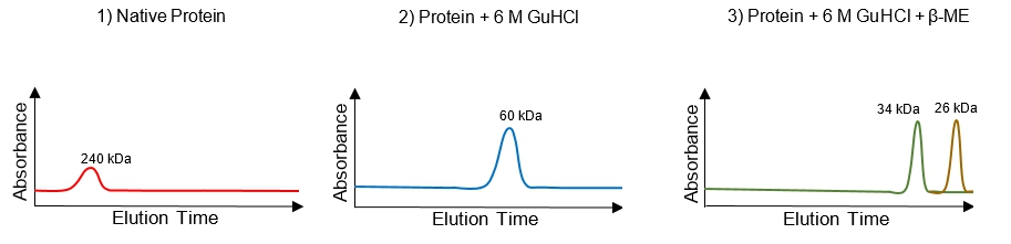 Size Exclusion Chromatography Video Tutorial & Practice | Pearson+ Channels