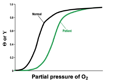 BPG Regulation of Hemoglobin Video Tutorial & Practice | Pearson+ Channels