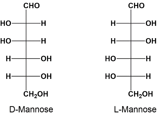 Stereochemistry of Monosaccharides Video Tutorial & Practice | Pearson+ Channels
