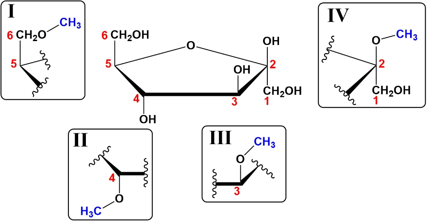 Reducing Sugars Video Tutorial & Practice | Pearson+ Channels