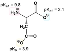 Isoelectric Point of Amino Acids with Ionizable R-Groups Video Tutorial ...