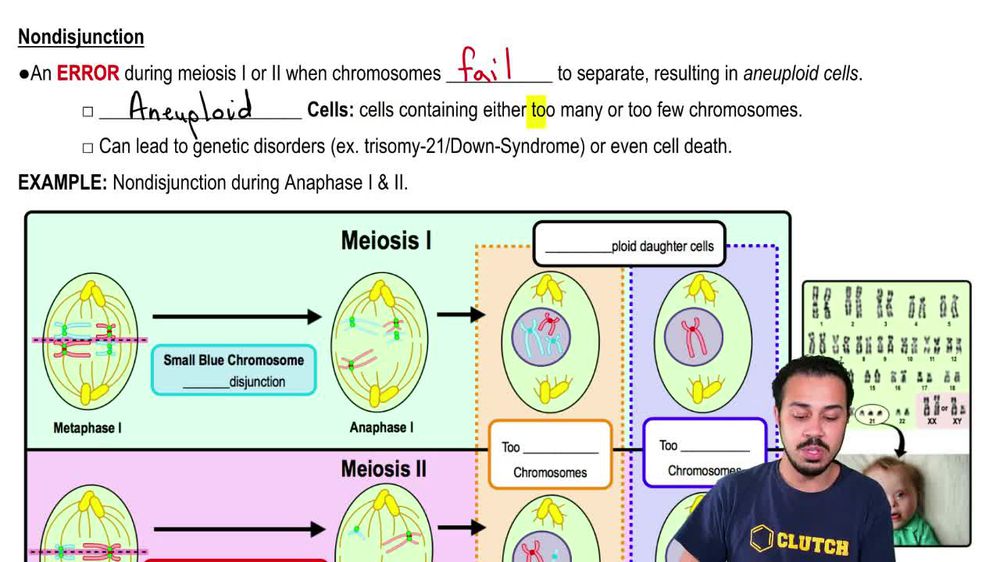 Genetic Variation During Meiosis Example 1 | Pearson+ Channels