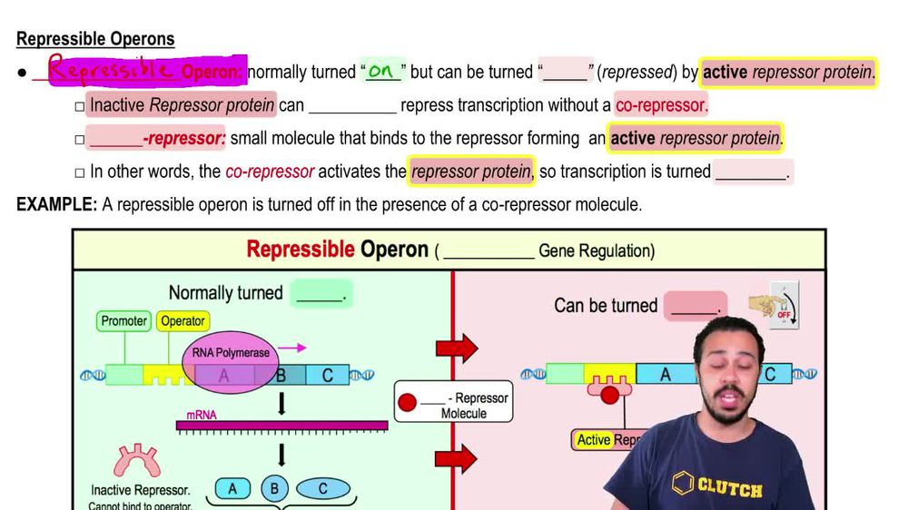 Prokaryotic Gene Regulation via Operons | Pearson+ Channels