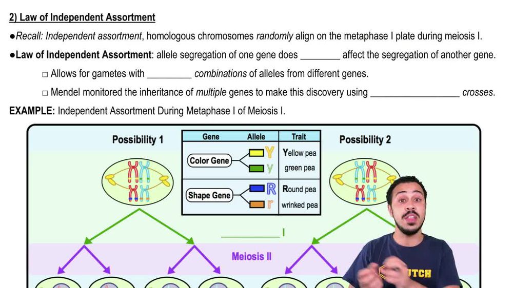 Introduction to Mendel's Experiments Video Tutorial & Practice ...