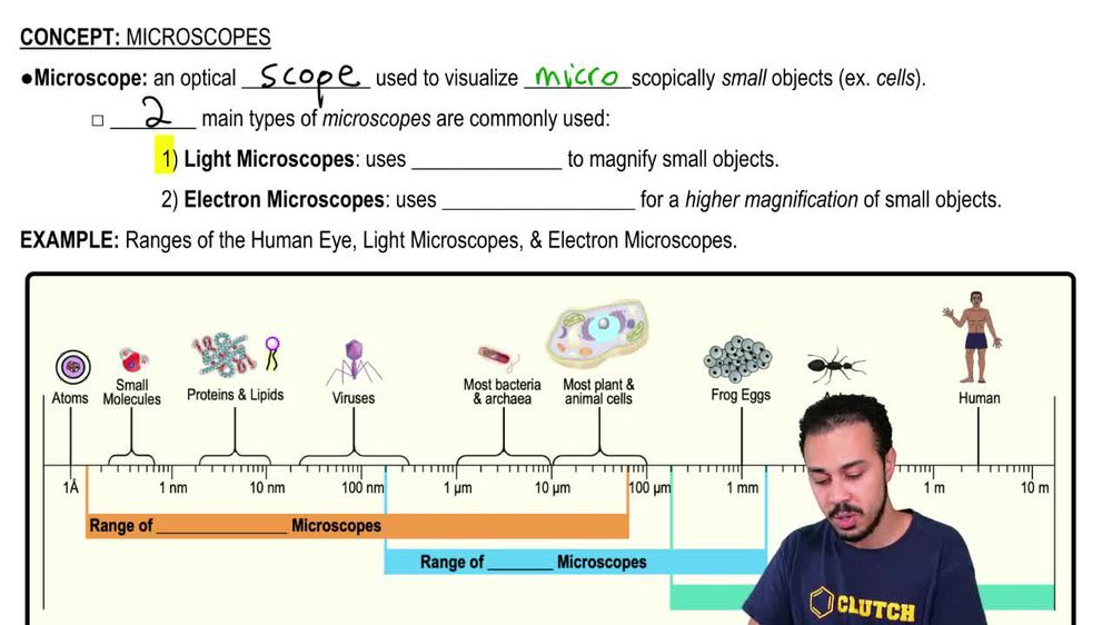 Microscopes and How to Use a Light Microscope | Pearson+ Channels