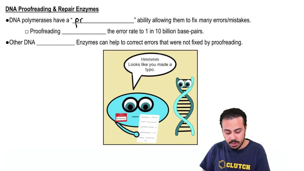 DNA Repair Mechanisms Base Excision Repair - Animation | Pearson+ Channels