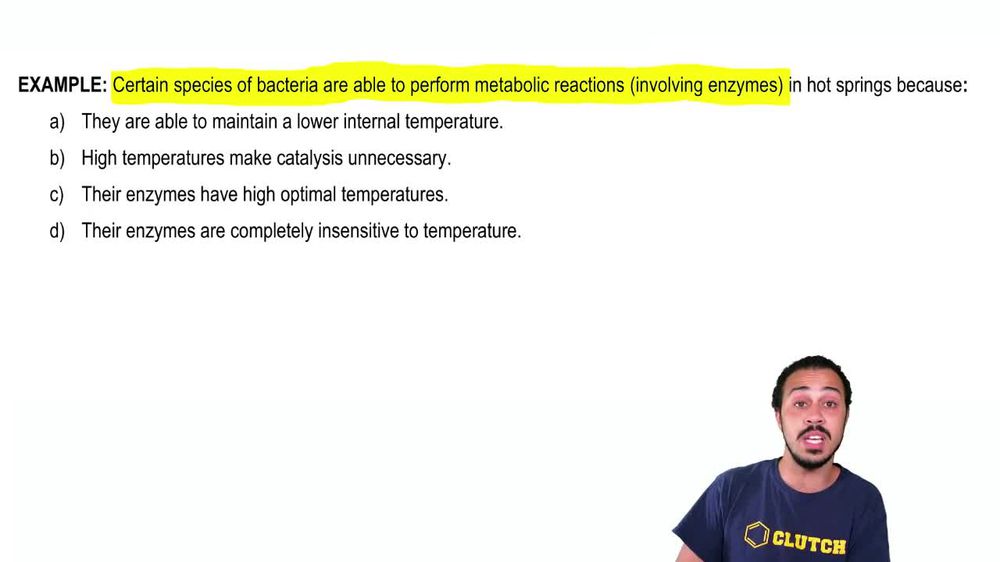 Animation: Enzymes: Steps in a Reaction | Pearson+ Channels
