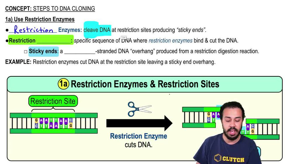 BioInteractive: Genetic Engineering | Pearson+ Channels