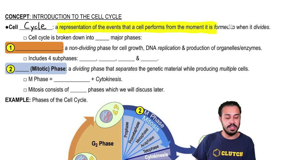 Cell Cycle | Pearson+ Channels