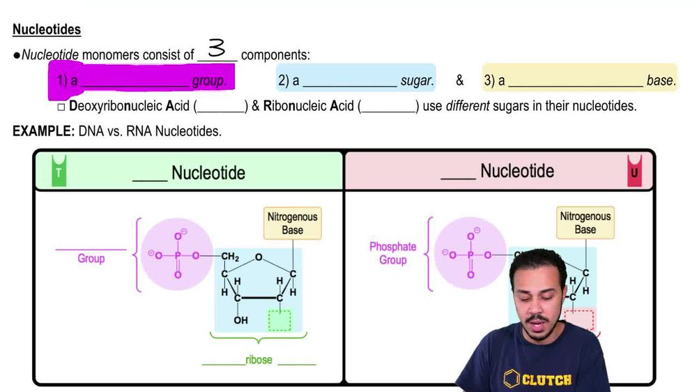 Enzymes that break down DNA catalyze the hydrolysis of the covale ...