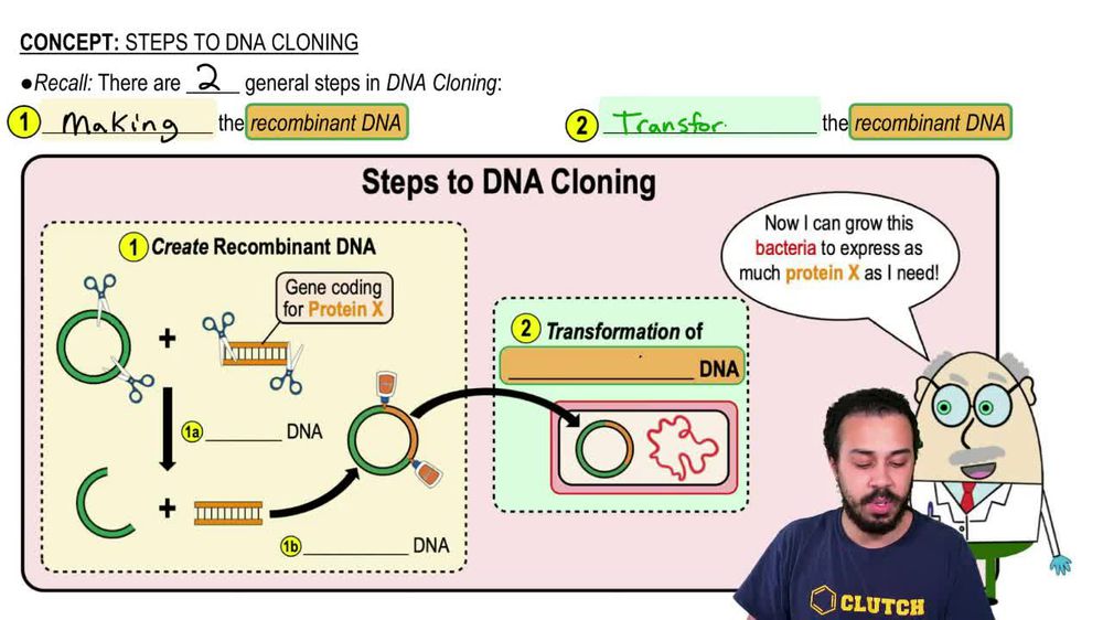 BioInteractive: Genetic Engineering | Pearson+ Channels