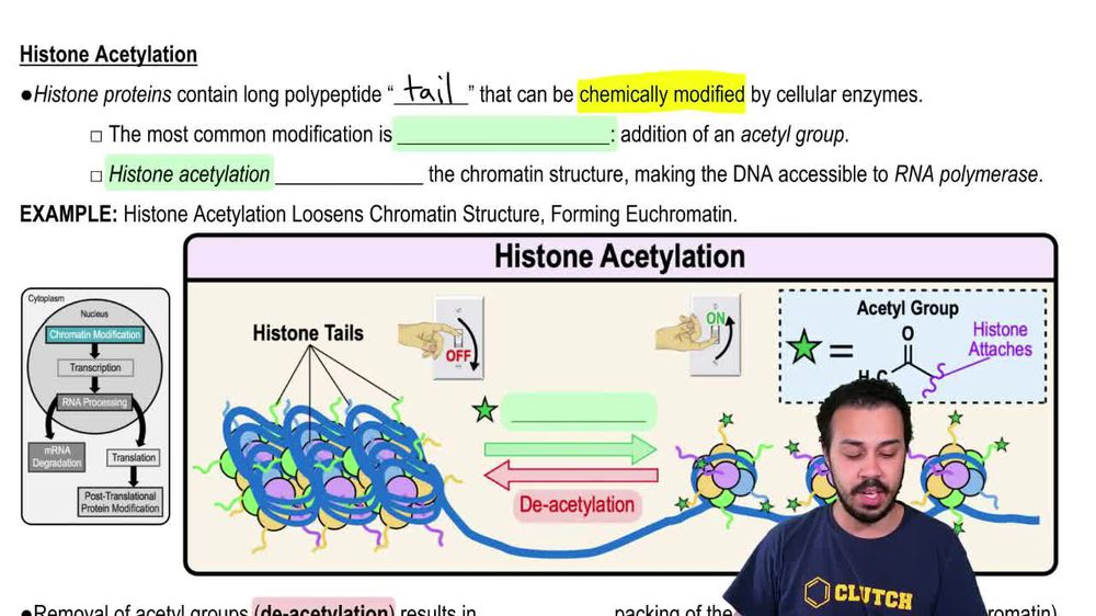Histone Methylation and Acetylation | Pearson+ Channels