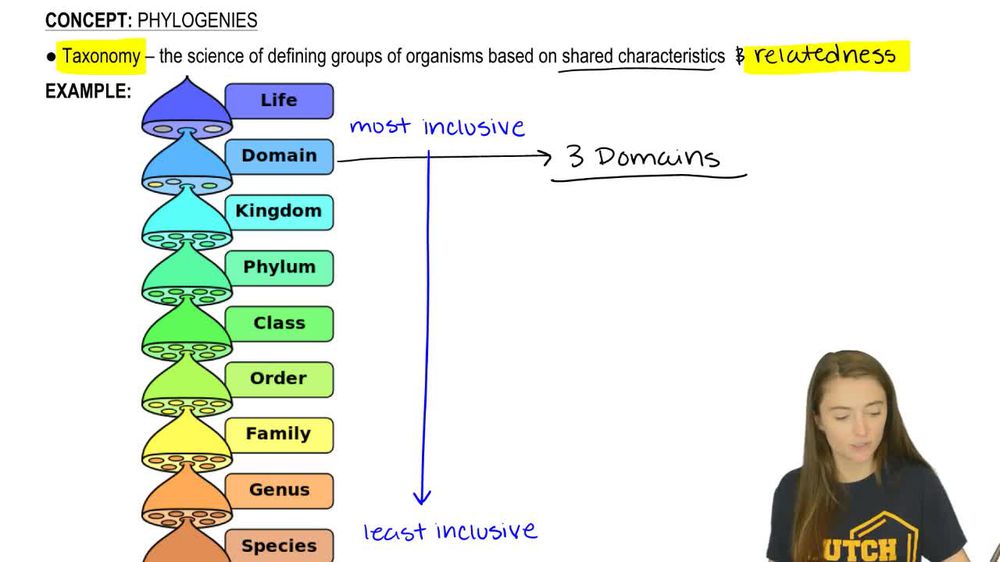 Cladistics Part 2: Monophyly, Paraphyly, and Polyphyly | Pearson+ Channels