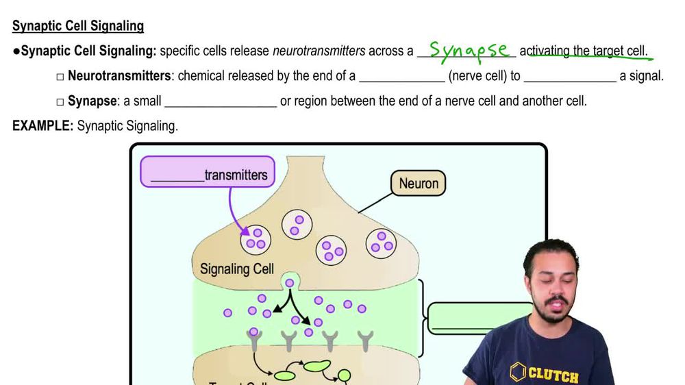 Which of the following types of signaling is represented in the f... | Pearson+ Channels