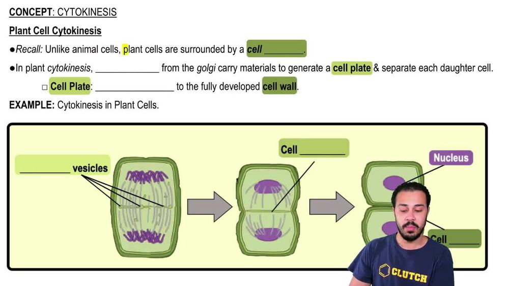 Cell Signaling: Introduction to Growth factors and Cytokines | Pearson+ ...