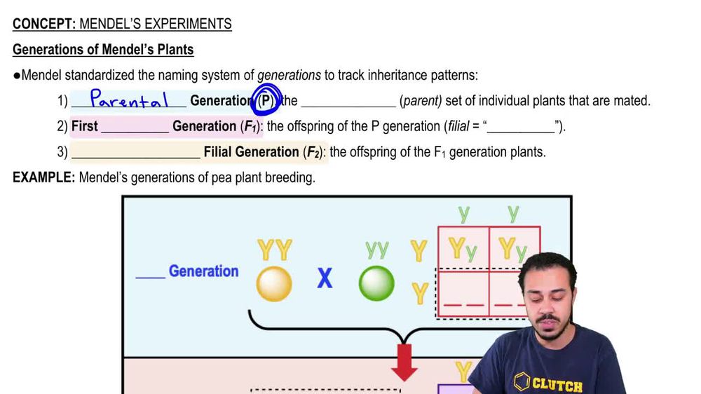 Self-Fertilization Experiment: True-Breeding vs. Hybrid Plants ...