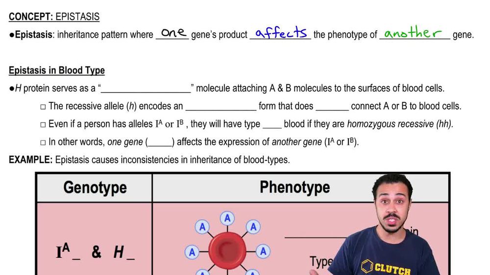 Epistasis | Pearson+ Channels