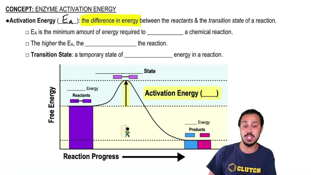 Enzymes Lower Activation Energy | Pearson+ Channels