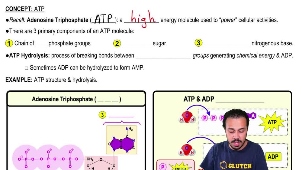 What is ATP? | Pearson+ Channels