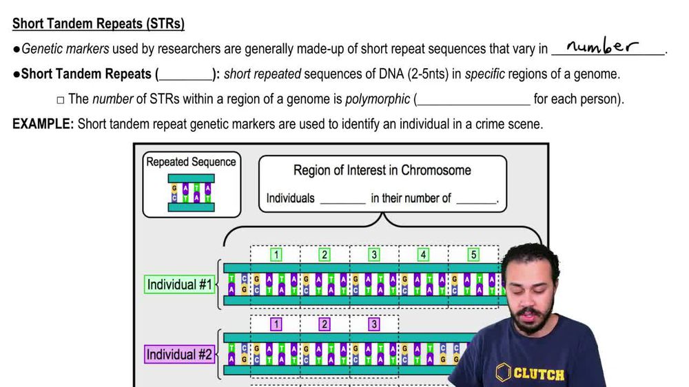 Genetic profiles are used to determine whether Sam could be the f ...