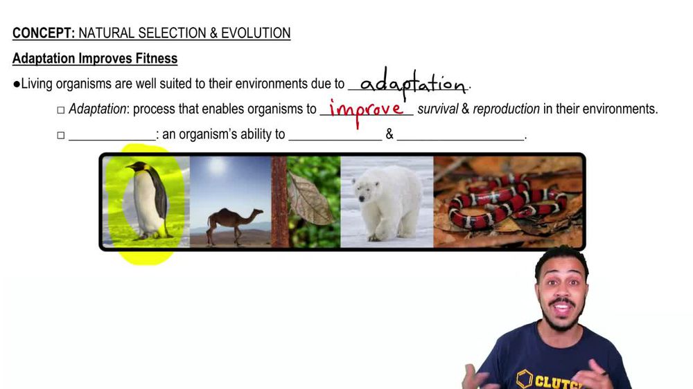 How Evolution Works (And How We Figured It Out) | Pearson+ Channels