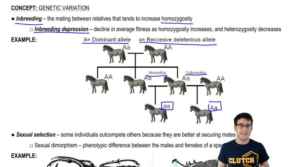 What is the importance of neutral variation in evolution? | Pearson+ ...