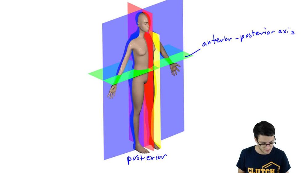 HHMI BioInteractive: Somatic Cell Nuclear Transfer Animation | Pearson+ ...