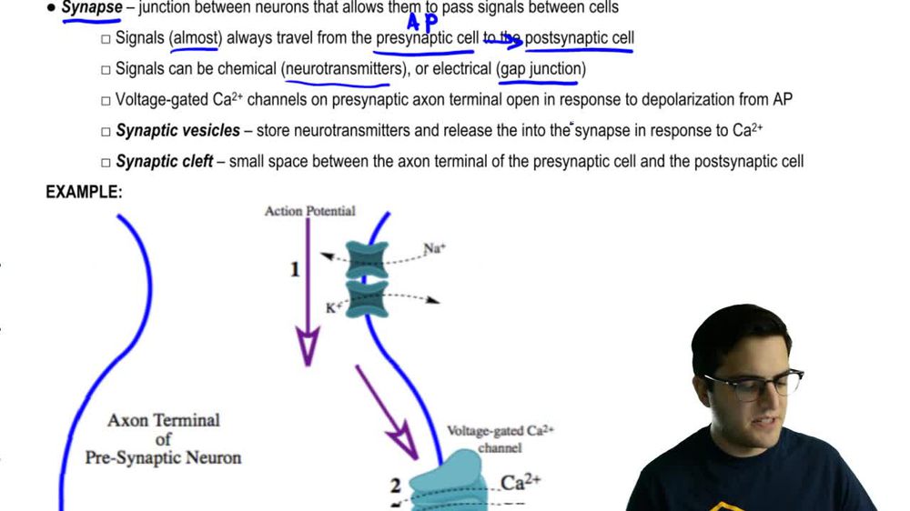 Ion Channels and Pumps | Pearson+ Channels
