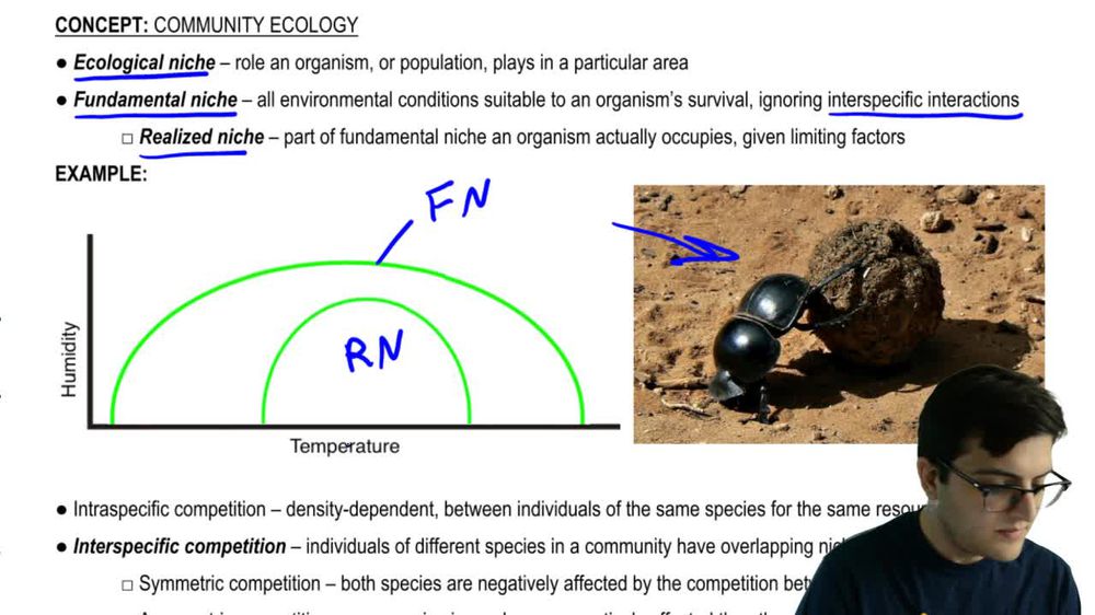 Ecological Relationships-Competition- Predator and Prey- Symbiosi ...
