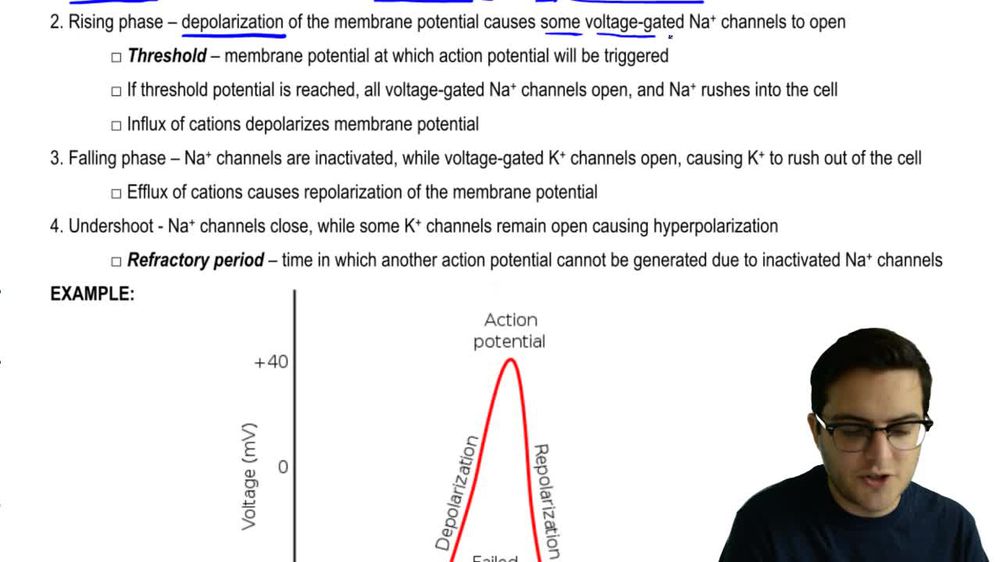 Ion Channels and Pumps | Pearson+ Channels