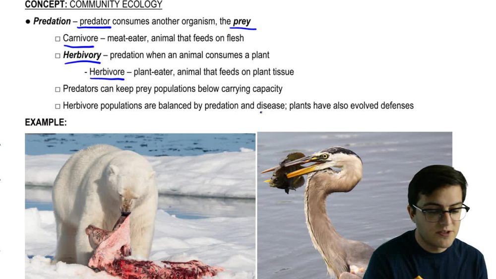 Ecological Relationships-Competition- Predator and Prey- Symbiosi ...