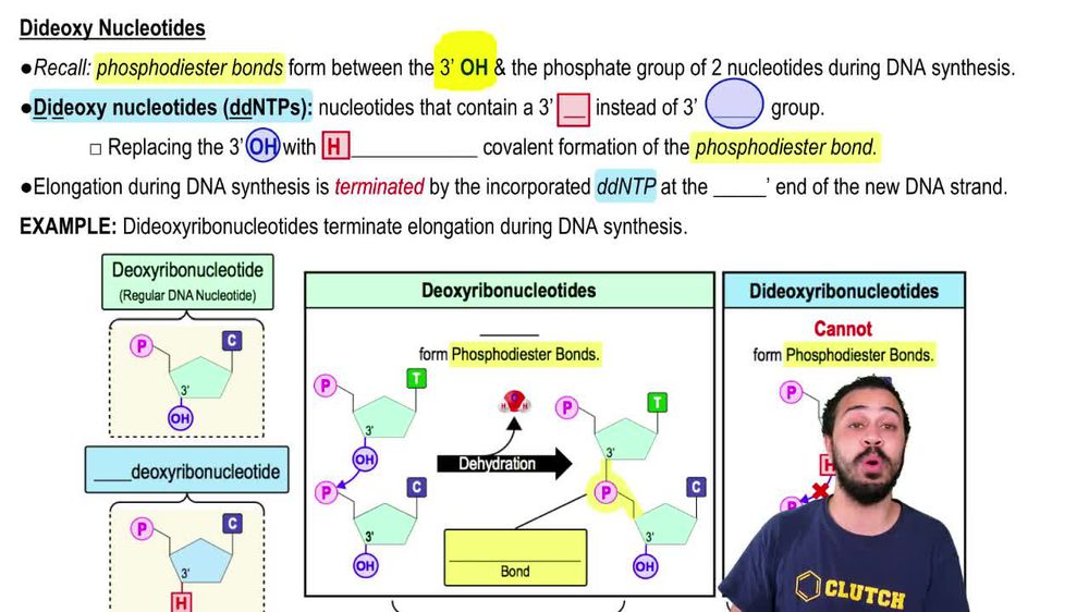 The dideoxyribonucleotide method __________. | Pearson+ Channels
