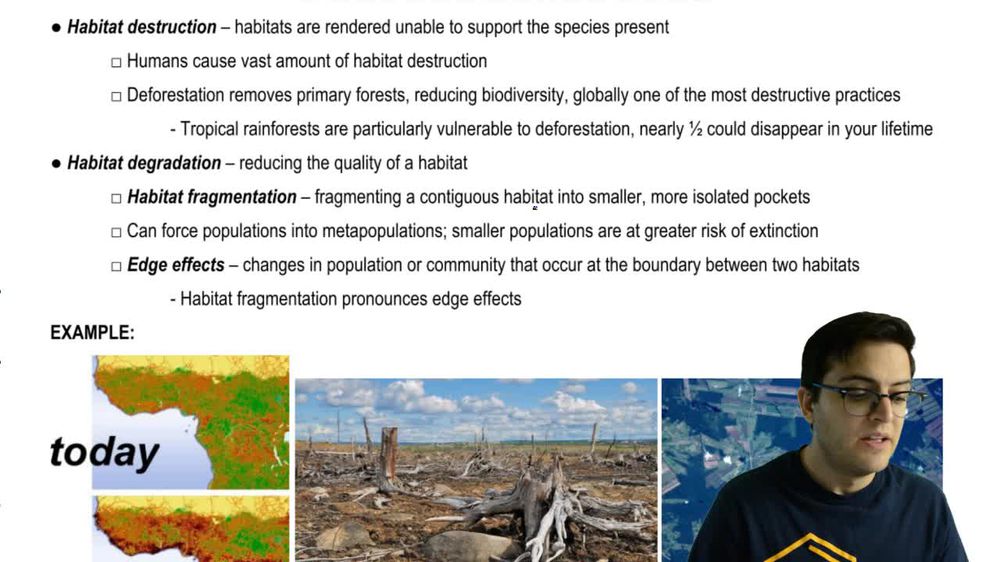 IGCSE biology Human influence on the environment- Habitat destruc ...