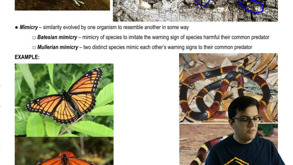 Ecological Relationships-Competition- Predator and Prey- Symbiosi ...