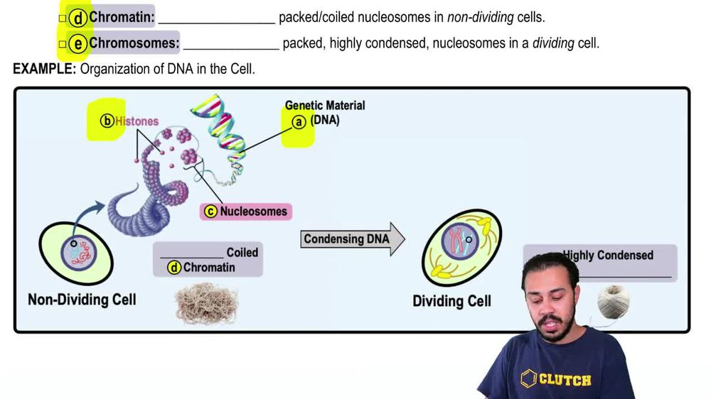 A collection of DNA and associated proteins in a cell defines the ...