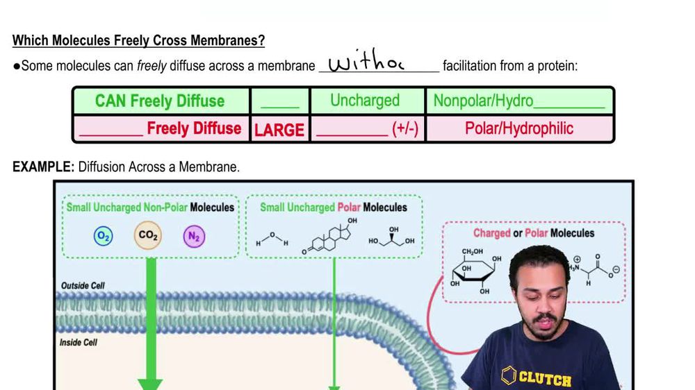 BioFlix: Membrane Transport | Pearson+ Channels