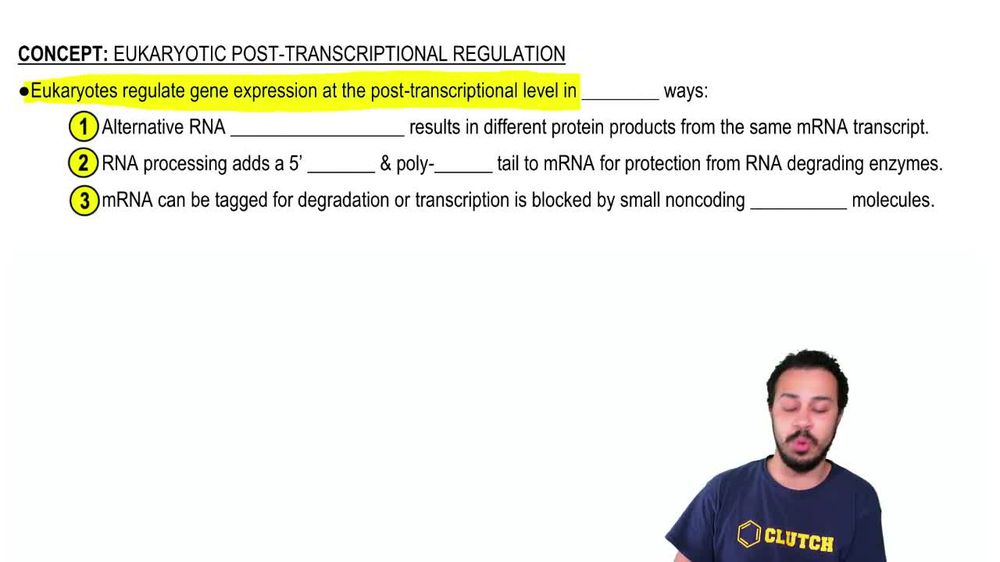 a2-biology-post-transcriptional-control-of-gene-expression-ocr