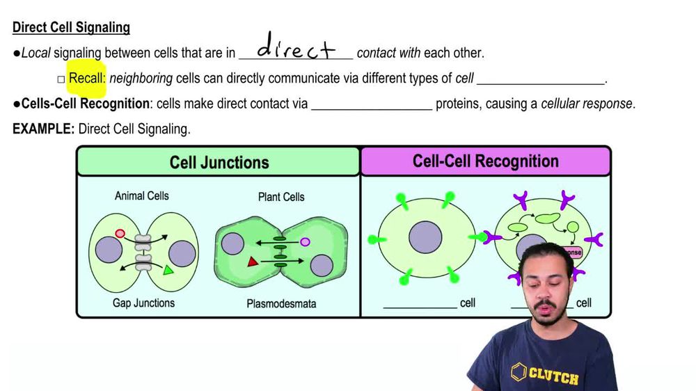 Introduction to Cell Signaling Video Tutorial & Practice | Pearson+ ...